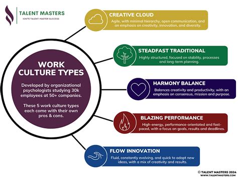 Culture Assessment Program Talent Masters