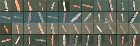 What Does Double Star And Star Do For Parameters In Python By Mohamed Sobhi Medium