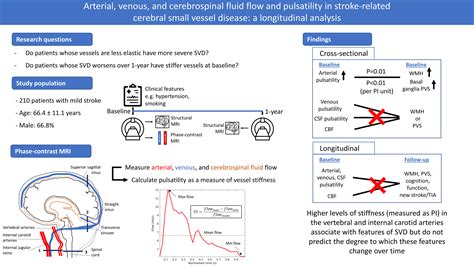 Arterial Venous And Cerebrospinal Fluid Flow And Pulsatility In Stroke Related Cerebral Small