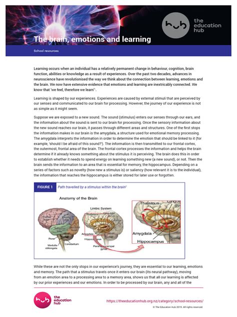 Emotions Role In Learning Processes Pdf Perception Learning
