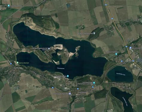 Geology In The West Country Fossil Frogs Died From Too Much Sex