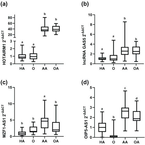 differential expression of long noncoding rnas hotairm1 gas5