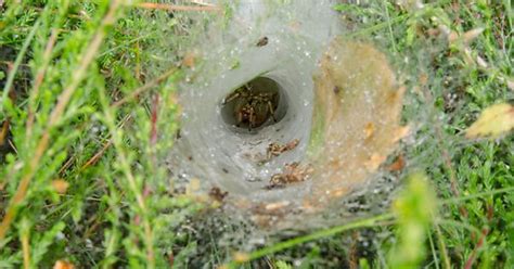 The Deep Web Imgur The Deep Web Imgur