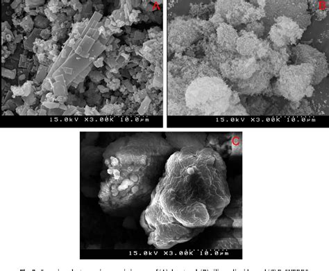 Figure 3 From Development Of Docetaxel Loaded Solid Self Nanoemulsifying Drug Delivery System