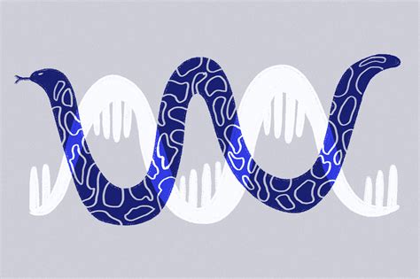 what is bioinformatics and how does it compare to computational biology