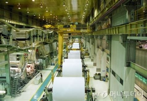 천장 뚫은 펄프가격고통 심화되는 제지업계 네이트 뉴스