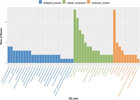Microarray Expression Profile Of Exosomal Circrnas Dmso