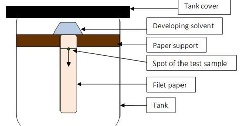 Paper Chromatography Descending Method