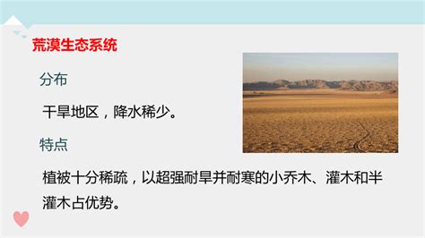 2 4 生态系统的结构和功能（第1课时 课件 27张ppt） 21世纪教育网