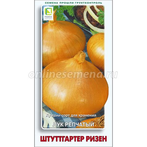 Лук репчатый Штуттгартер ризен' из каталога Семена овощей – купить с ...