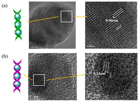 Supramolecular Double Helical Polymers Supramolecular Chiral Induction And Asymmetric Catalysis