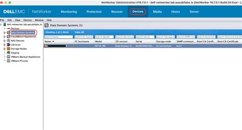 Dell Emc Networker With Wasabi Using Data Domain
