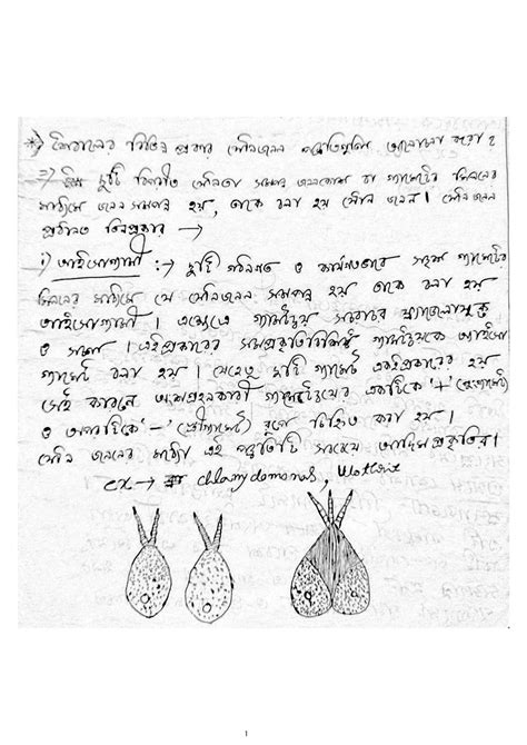 Solution Different Types Of Sexual Reproduction In Algae Studypool