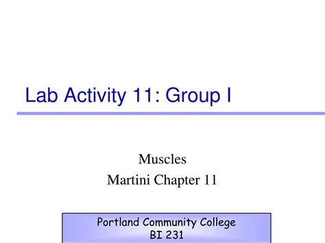 Ppt Lab Activity 11 Group I Powerpoint Presentation Free Download Id213993
