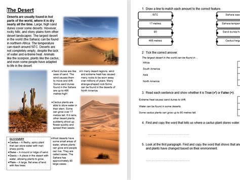 The Desert Ks2 Primary Reading Comprehension National Test Style