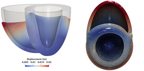 New Mox Report On A Software Benchmark For Cardiac Elastodynamics”