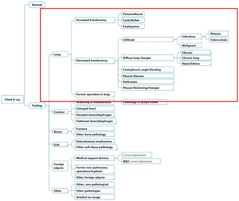 Full Diagnostic Labeling Scheme And Annotation Labels For Lung Tissue
