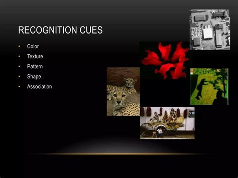 Computer Vision PPTX
