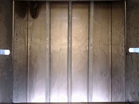 Peces Demo 1 Object Detection Dataset By Nft Most Wanted