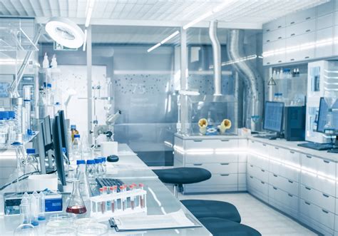 Scientist In Laboratory