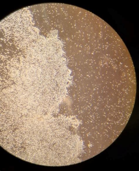 Marzieh Bathaei On Linkedin I Recently Had The Fantastic Opportunity To Update My Experience On