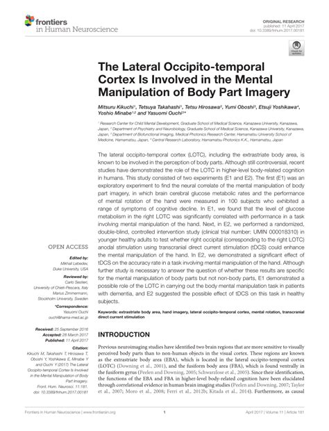 Pdf The Lateral Occipito Temporal Cortex Is Involved In The Mental Manipulation Of Body Part