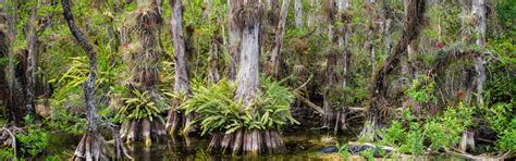 Sustainability Intelligence And SAP BTP SAP News Center