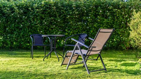 Grass Alternatives 12 Low Maintenance Lawn Replacements