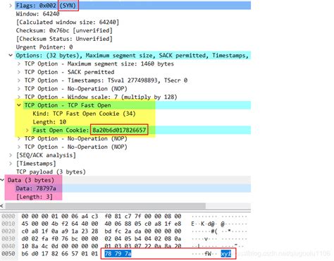 Tcp快速打开 Tcp Fast Opentcp文件怎么打开 Csdn博客