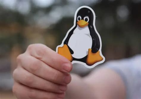 New Alert Beware Of Panchan Botnet Targets Linux Servers