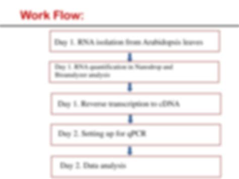 SOLUTION Rna Extraction And Quantification Methodology Studypool