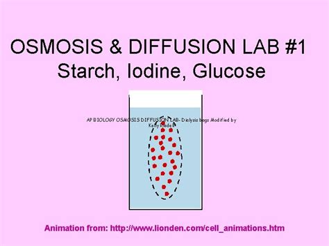 Ap Biology Osmosis Diffusion Labs Slide Show By