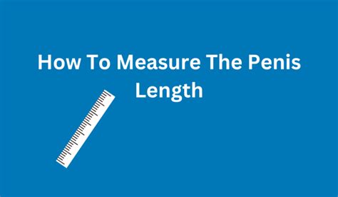 Is The Toilet Paper Roll Test Accurate [read To Find Out]