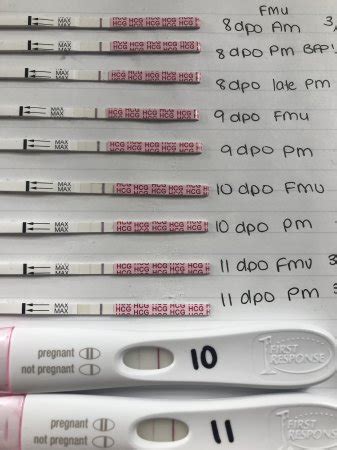 Line Progression BabyCenter