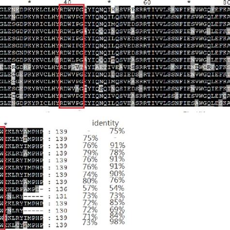Amino Acid Sequence Alignment Of Tir Domains In Mrtoll1 Mrtoll2 And Download Scientific