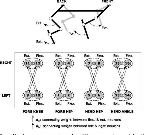 Figure 1 From Running Control Of Quadruped Robot Based On The Global State And Central Pattern