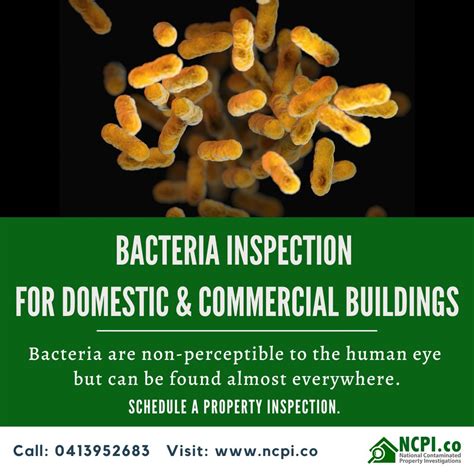Ncpi Bacteriainspection Bacteria Bacteriasampling Nsw Australia