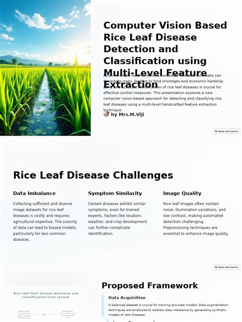 Computer Vision Based Rice Leaf Disease Detection And Classification Using Multi Level Feature