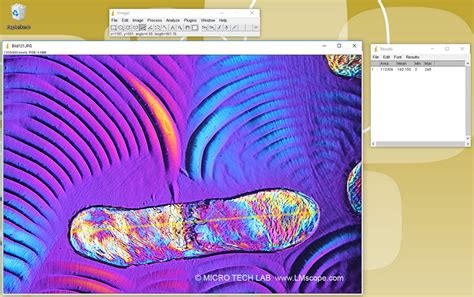 Brief Review Java Imagej Software Editing And Processing Software In