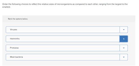 Solved Order The Following Choices To Reflect The Relative Chegg