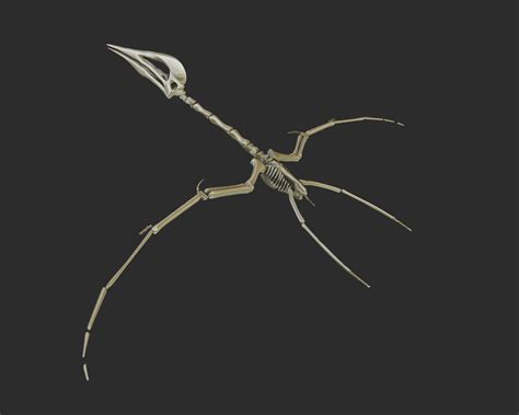 Skelet Van Een Hoedzegopteryx Hatzegopteryx Png Images Pngwing