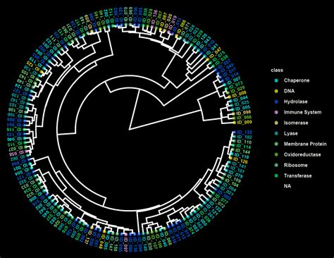 Circular Dendrogram Categorical Classification Phyo Phyo Kyaw Zin