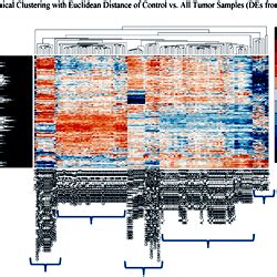 Hierarchical Clustering HCL Of Between All Control And All Tumor