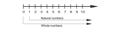 Premium Vector Integers On Number Line With Positive Numbers And Zero Math Chart For Addition