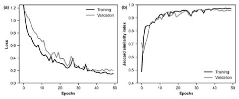 Training And Validation Curves Of The Trained U Net Segmentation Model