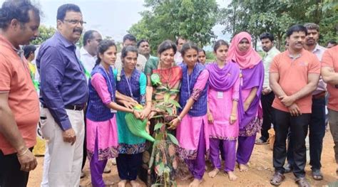 Mohana Karnan On Linkedin Today 1500 Saplings Were Planted In My College