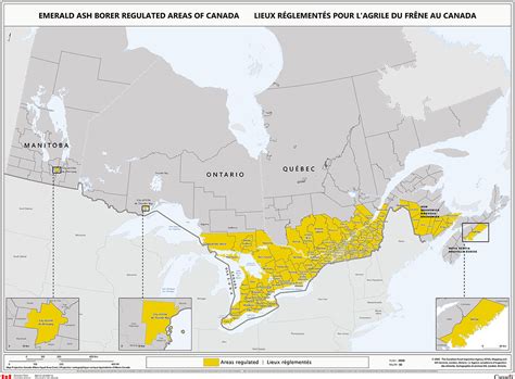 An Evaluation Of Canadian Invasive Species Efforts Center For