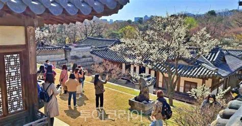 향기로운 봄빛으로 물든 창덕궁·덕수궁으로 봄나들이 가요