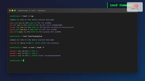 Stat Command Linux Complete Guide To Display File And Filesystem