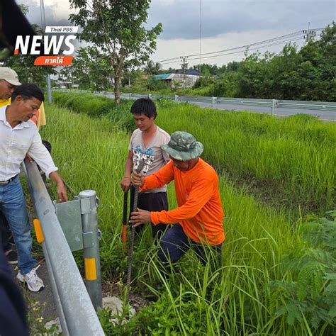 Thai Pbs ศูนย์ข่าวภาคใต้ Added Thai Pbs ศูนย์ข่าวภาคใต้